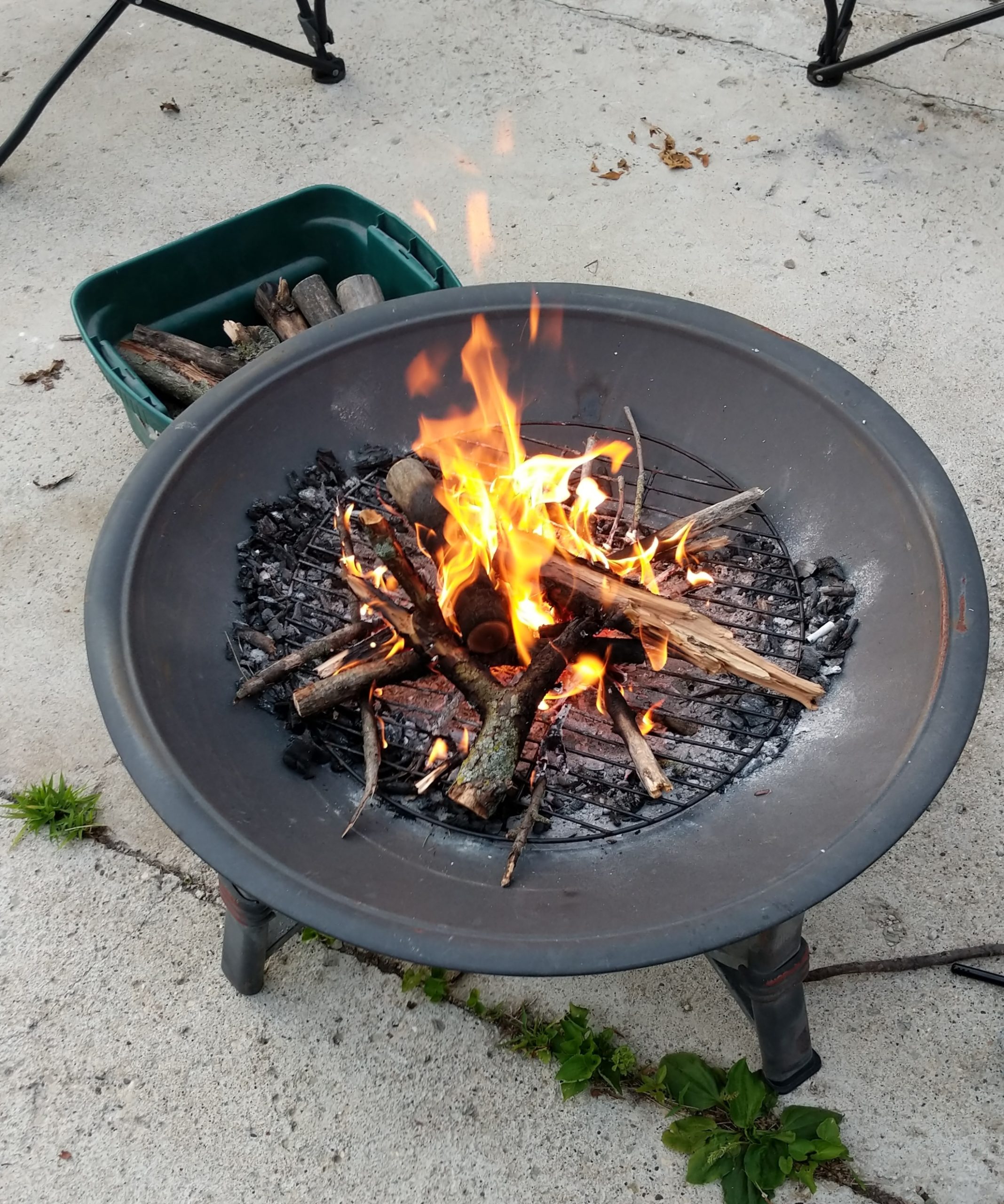 fire – Blue Star Gaia LLC